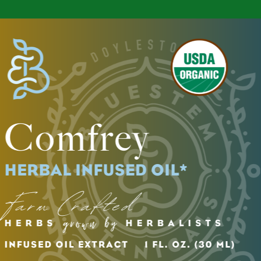 Infused Oil Extract, Comfrey, Whole Plant, ORG – Bluestem Botanicals